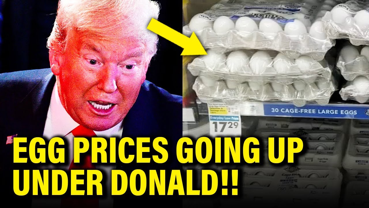 Trump LIES on Egg Prices BLOW UP in HIS FACE - NEWS