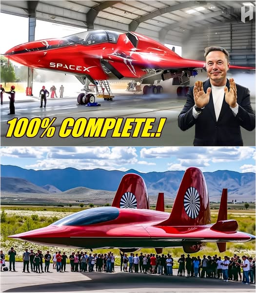 Elon Musk Unveils Groundbreaking $13 Billion Tesla Aircraft That ...