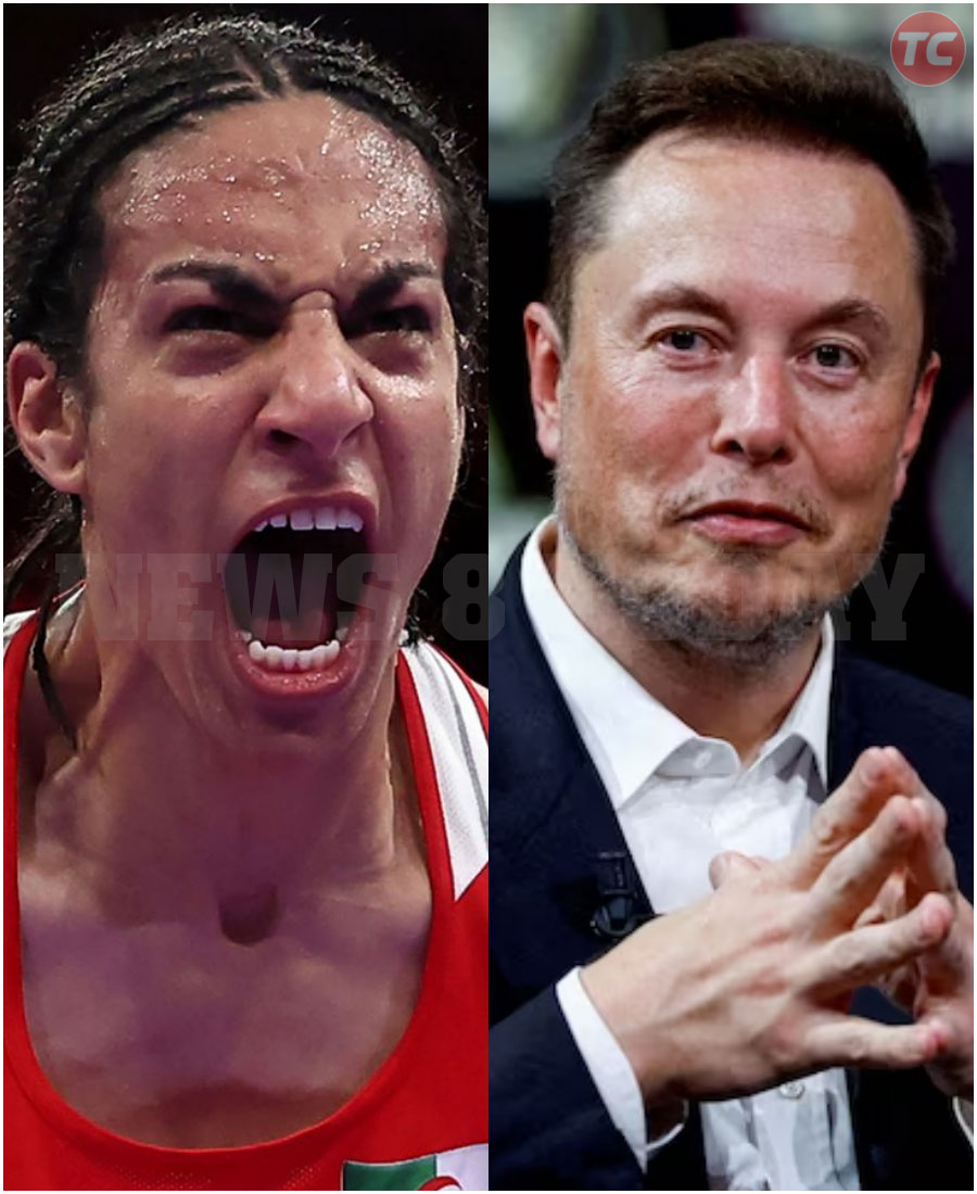Elon Musk Threatens to Withdraw Support from WBO Over Imane Khelif’s ...