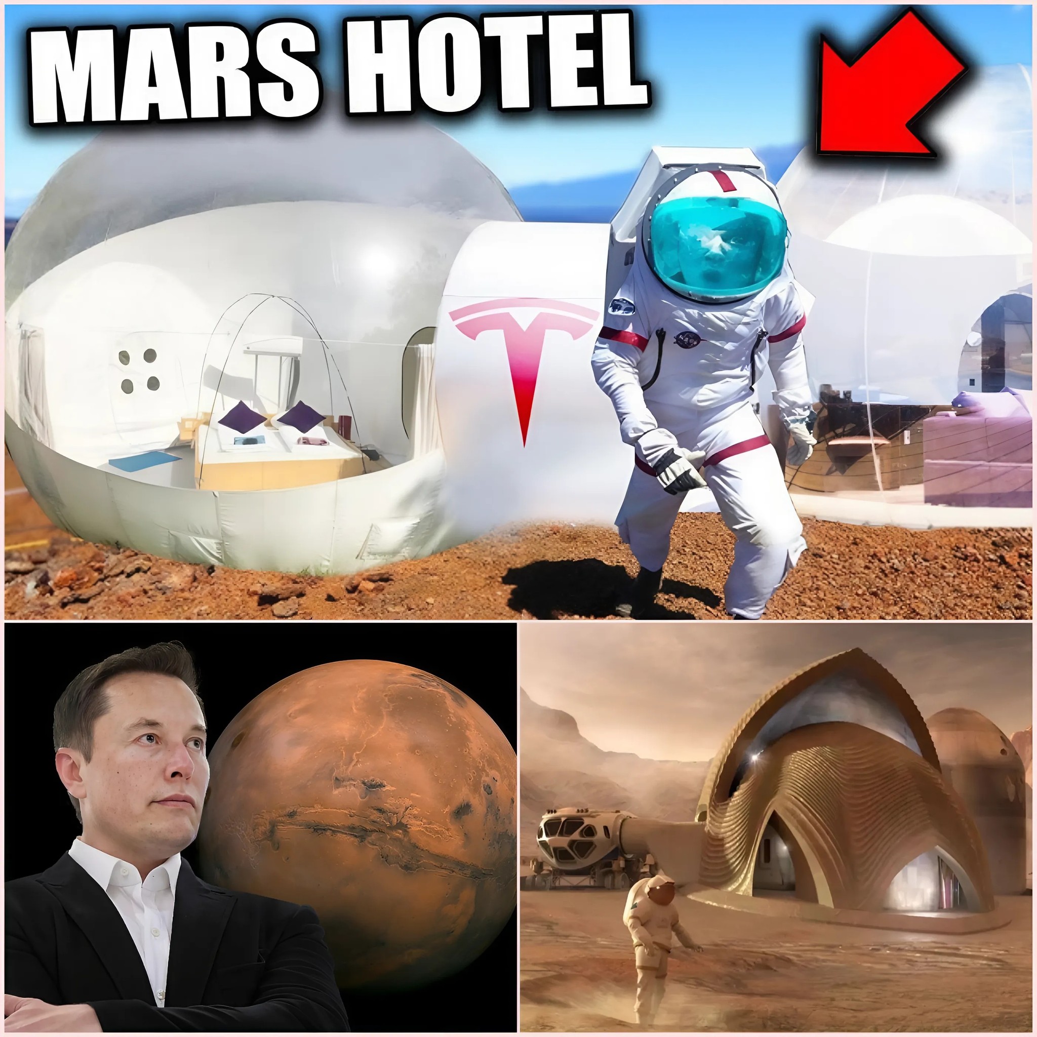 💥EXPLOSION: Crazy with Tesla's HOTEL ON MARS project after Elon Musk's ...